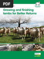Handbook For Intensive Sheep Farming | PDF | Sheep | Fetus