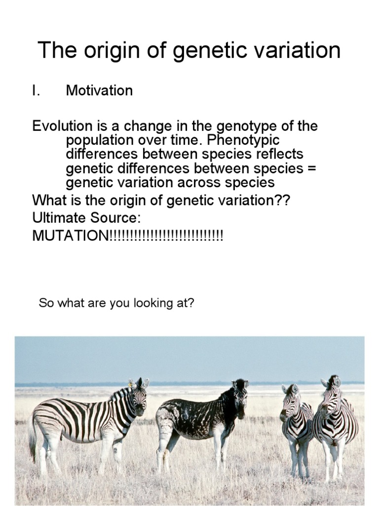 Mutation and Genetic Variation | PDF | Zygosity | Genetic Variation