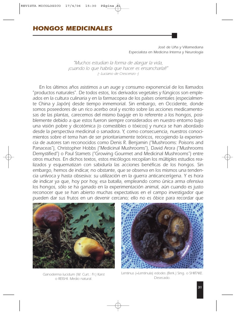 10 Hongos medicinales | Hongo | Medicina