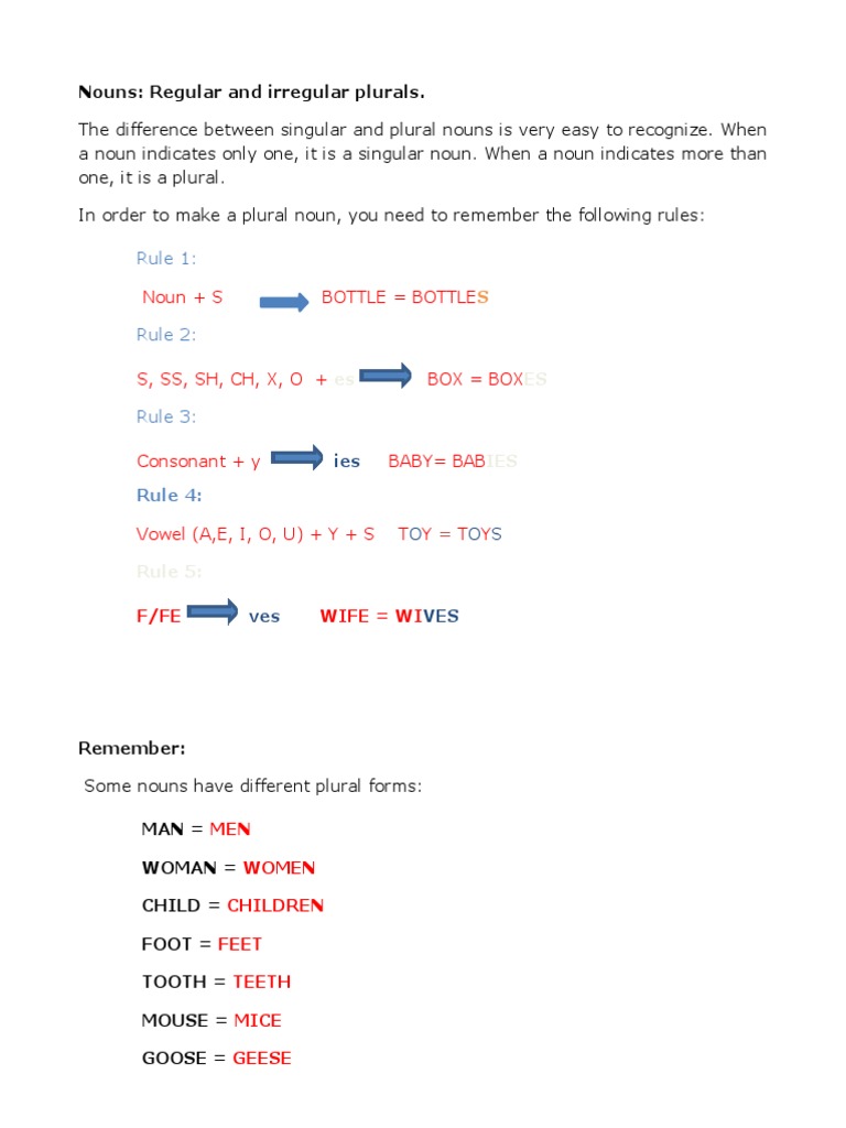 Nouns Regular and Irregular Plurals | PDF | Plural | Grammatical Number