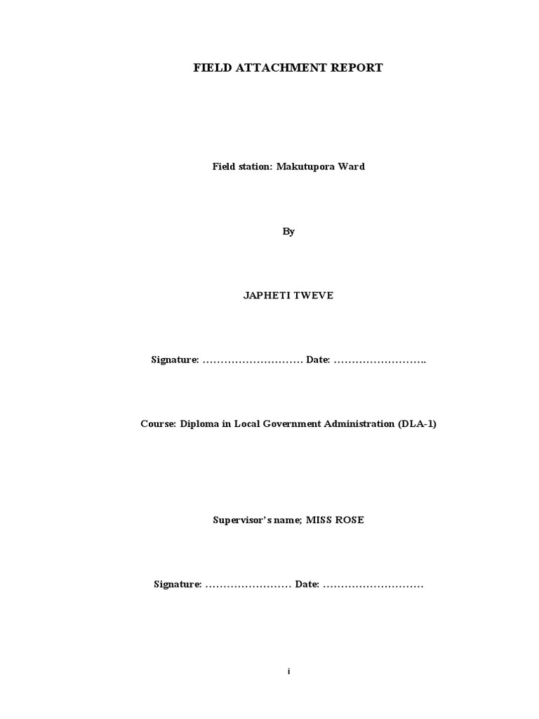 Field Attachment Report: Field Station: Makutupora Ward | PDF ...