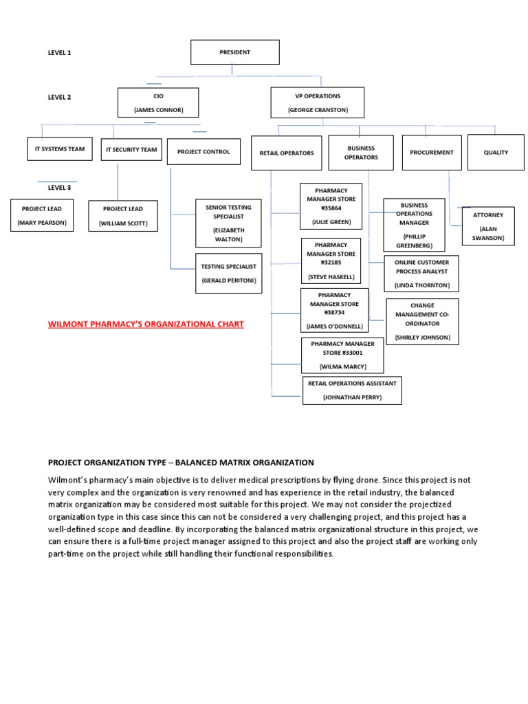 Level 1: Wilmont Pharmacy'S Organizational Chart | Download Free PDF ...
