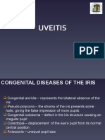 ICD-10 Codes for Uveitis Types | PDF | Immunology | Diseases Of The Eye ...