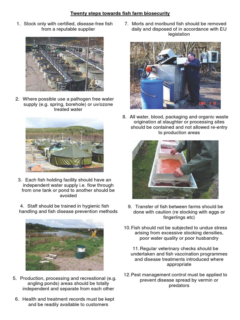 Twenty Steps Towards Fish Farm Biosecurity | PDF | Fish | Hygiene