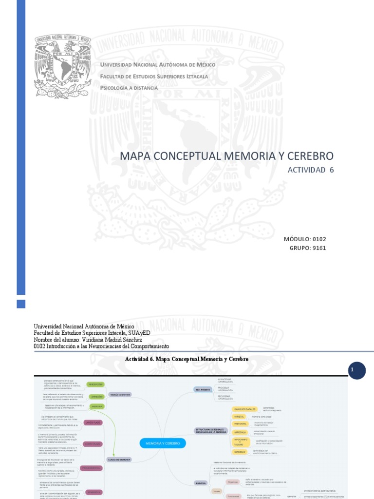 Mapa Conceptual - Act6 | PDF