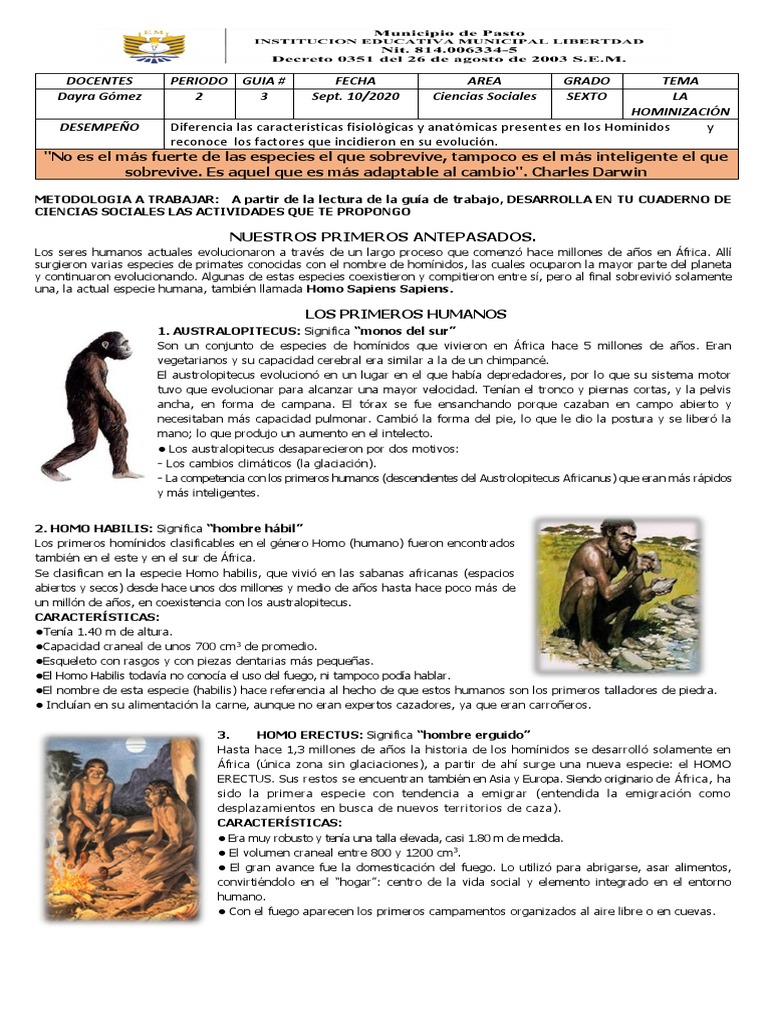 Hominización: Evolución del Hombre | PDF | Homo | Evolución humana