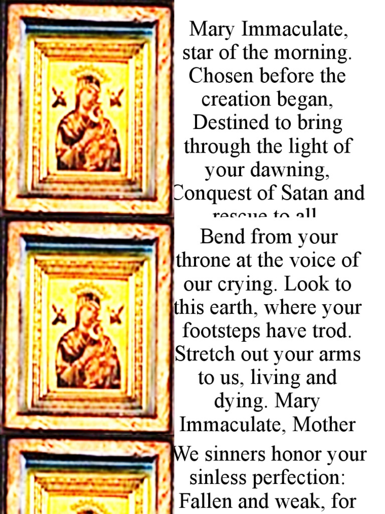 Mary Immaculate, Star of The Morning. | PDF
