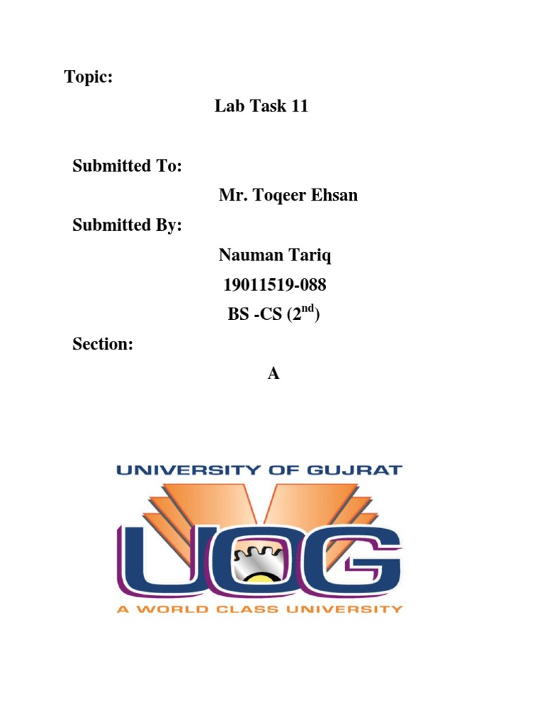 Topic: Lab Task 11 | PDF