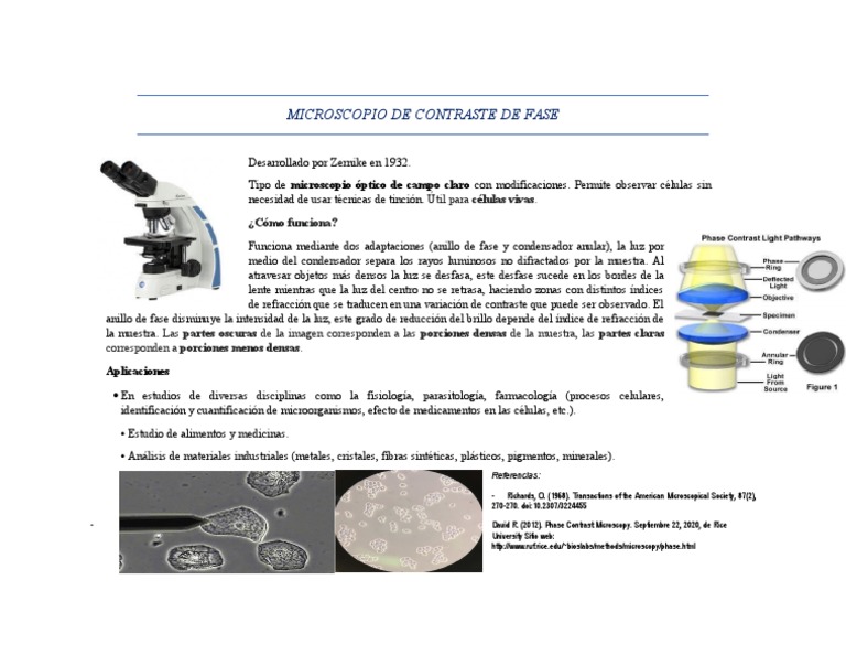 Microscopio de Contraste de Fases | PDF | Ligero | Biología Celular)