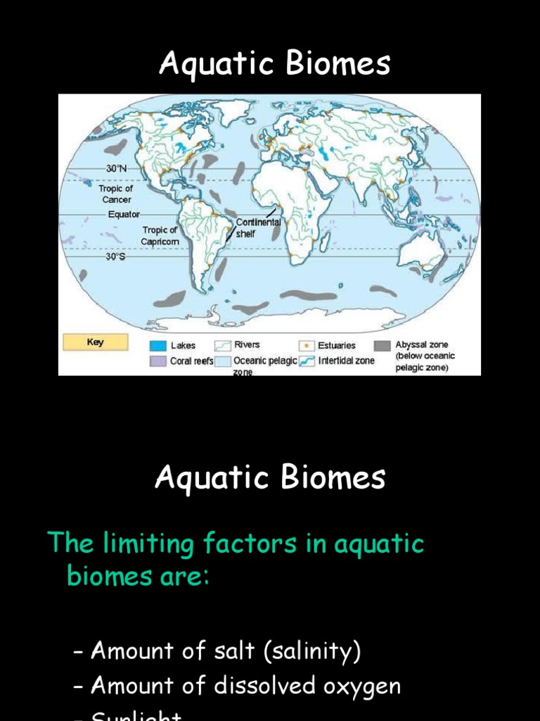 Aquatic Biomes Marine and Fresh | Download Free PDF | Aquatic Ecosystem ...