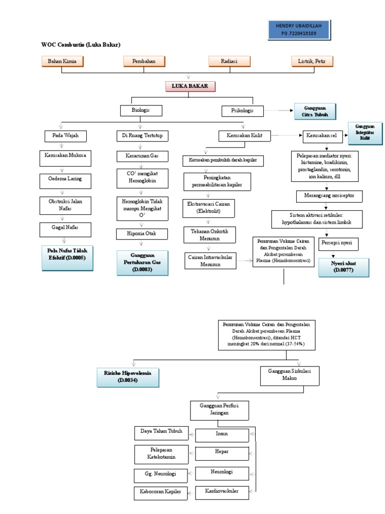 WOC CombustioSDKI | PDF