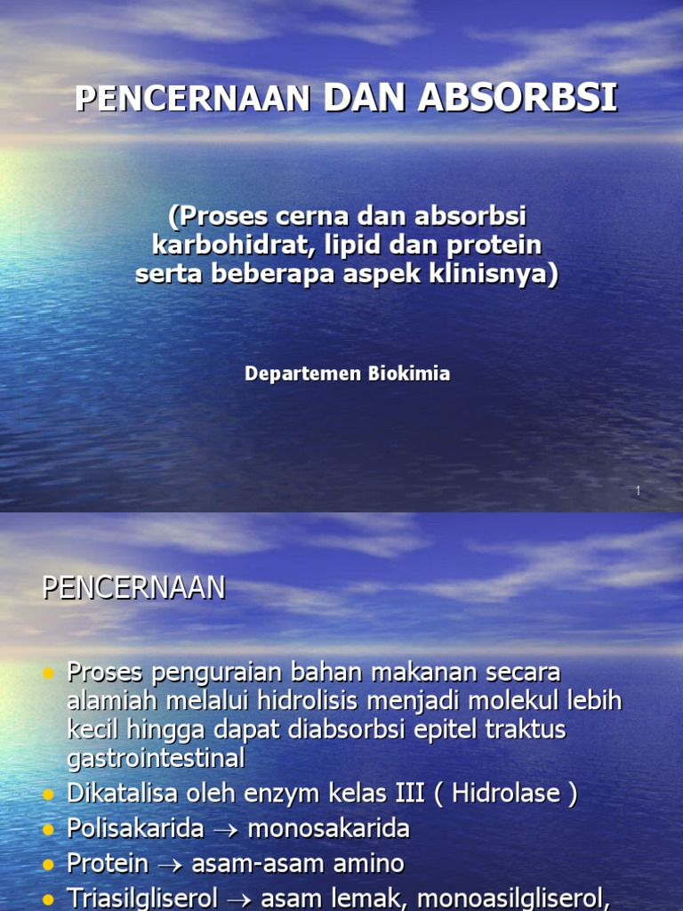 Pencernaan Dan Absorbsi Umi | PDF