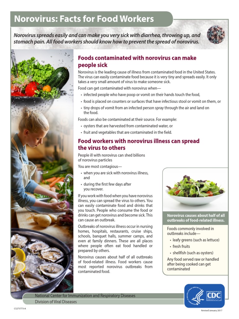 Norovirus: Facts For Food Workers: Foods Contaminated With Norovirus ...