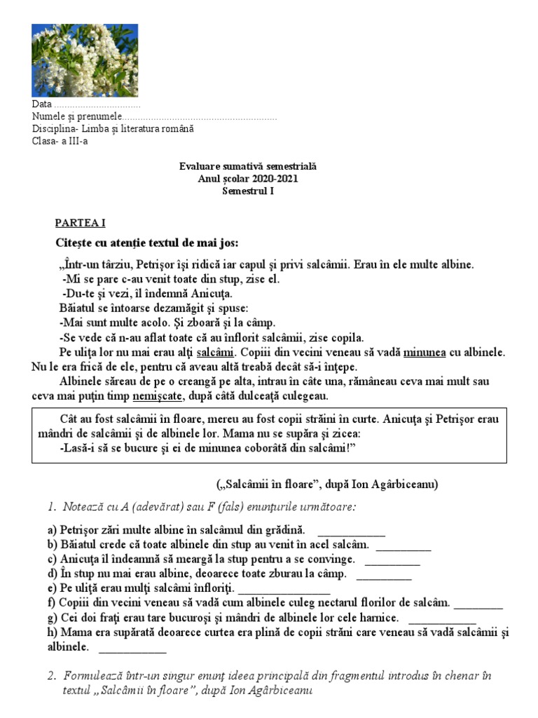1 Evaluare Finala-Romana | PDF