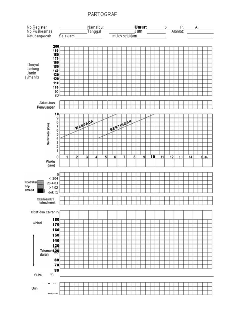 Partograf | PDF