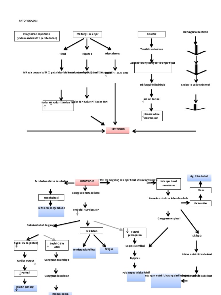 PATOFISIOLOGI Hipotiroid | PDF