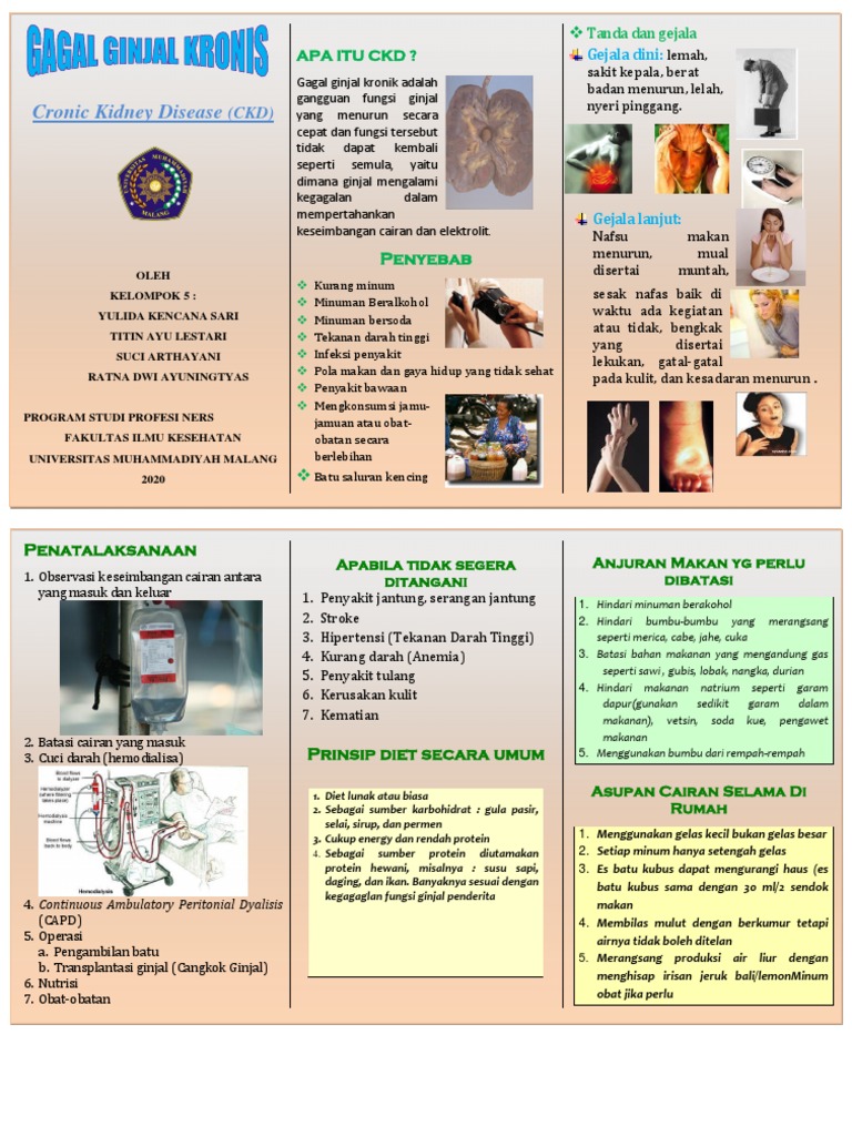 Leaflet CKD | PDF