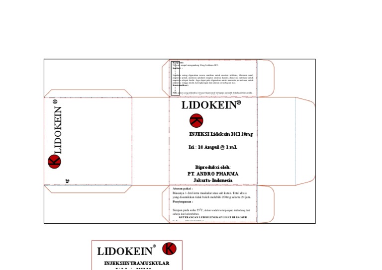 KEMASAN FIX Kotak Obat Lidokain | PDF