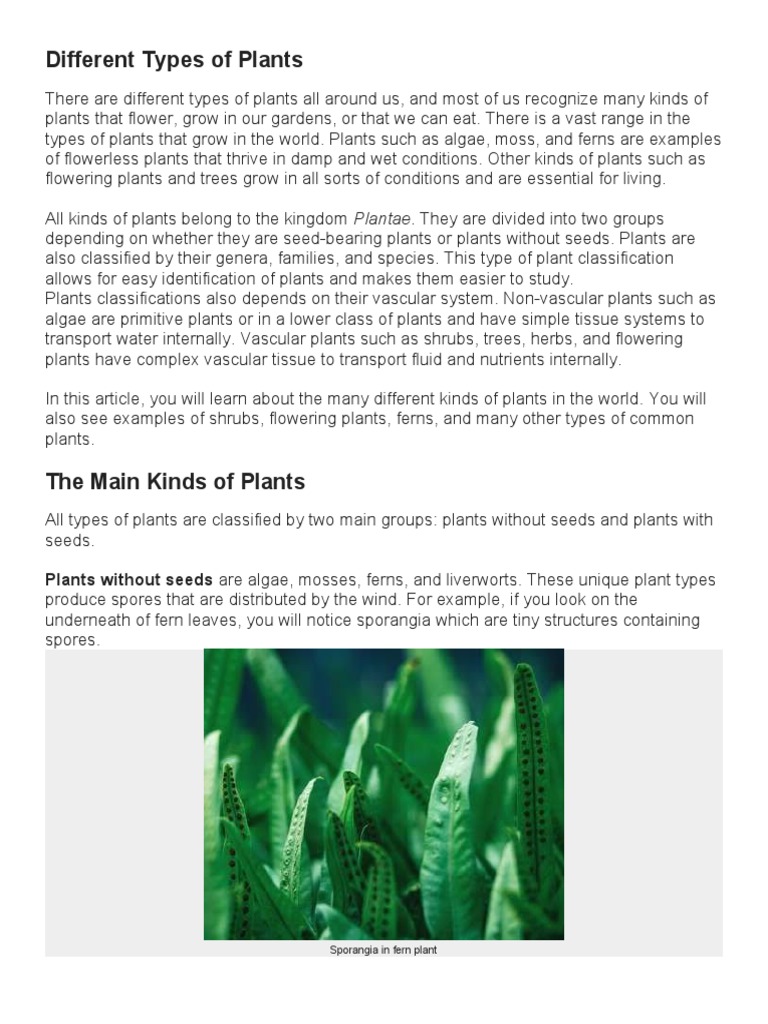 Different Types of Plants | PDF