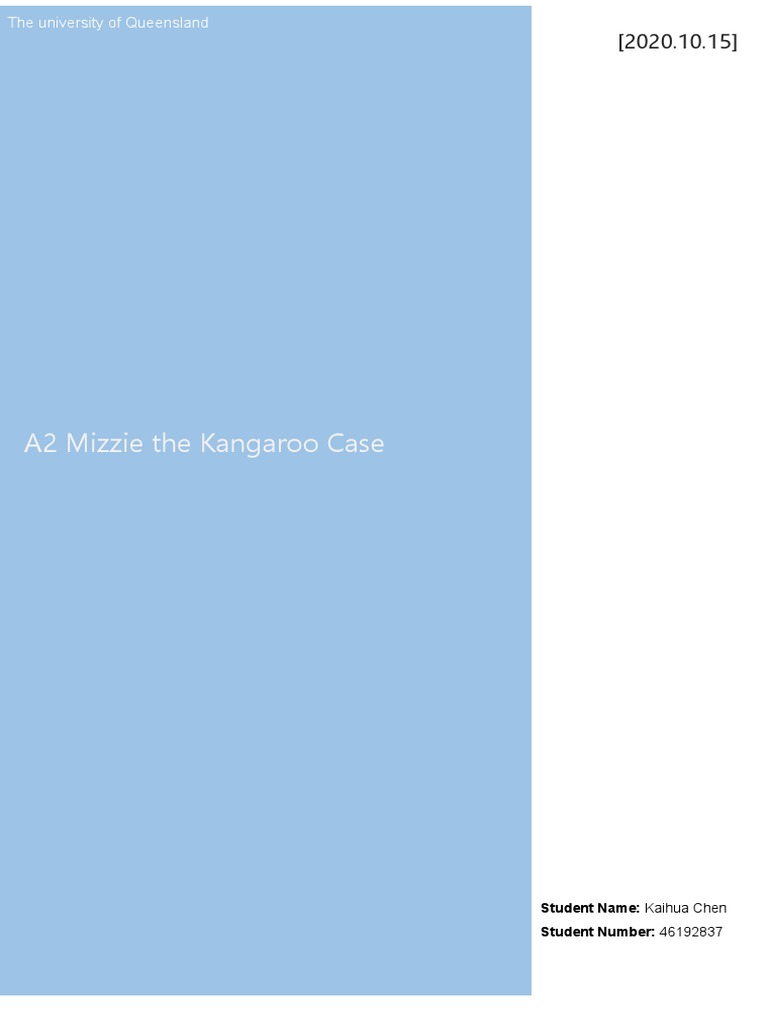 A2 Mizzie The Kangaroo Case | PDF | Brand | Retail