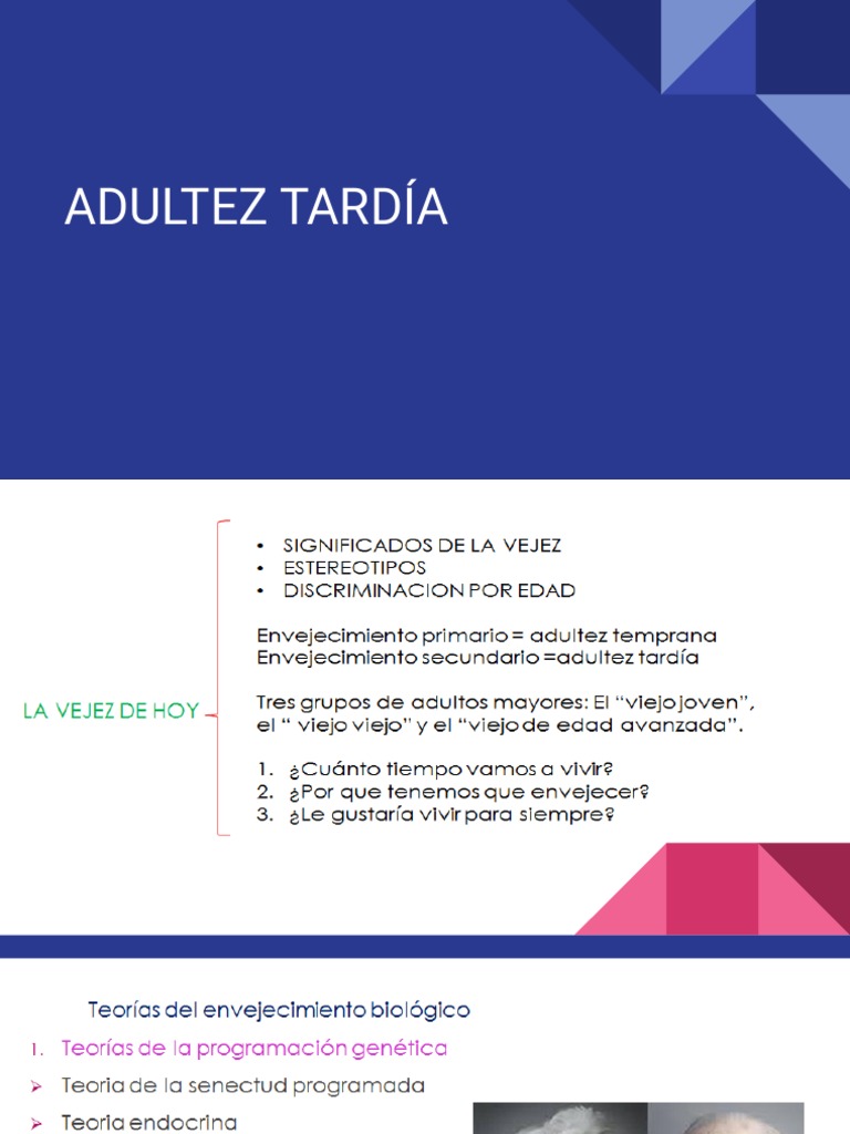 Adultez Tardía | PDF | Adultos | Vejez