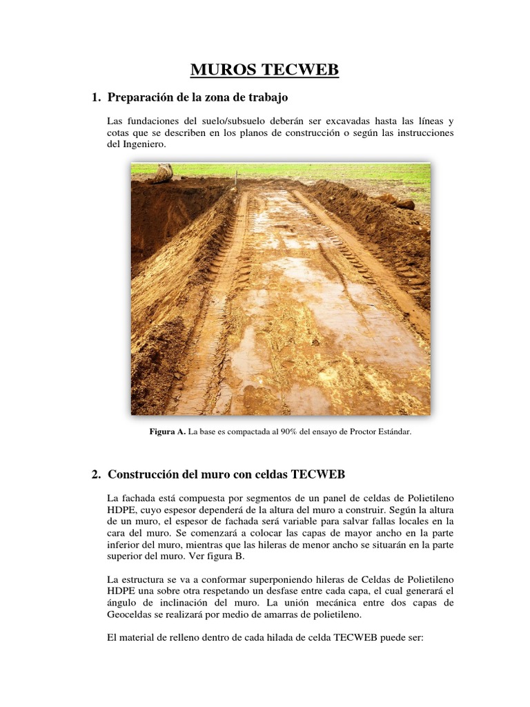 Guia de Instalacion de Muro Tecweb | PDF | Informática | Tecnología