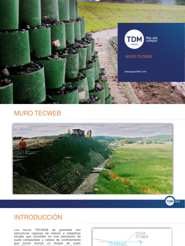 Presentación - Muro TECWEB | PDF | Naturaleza