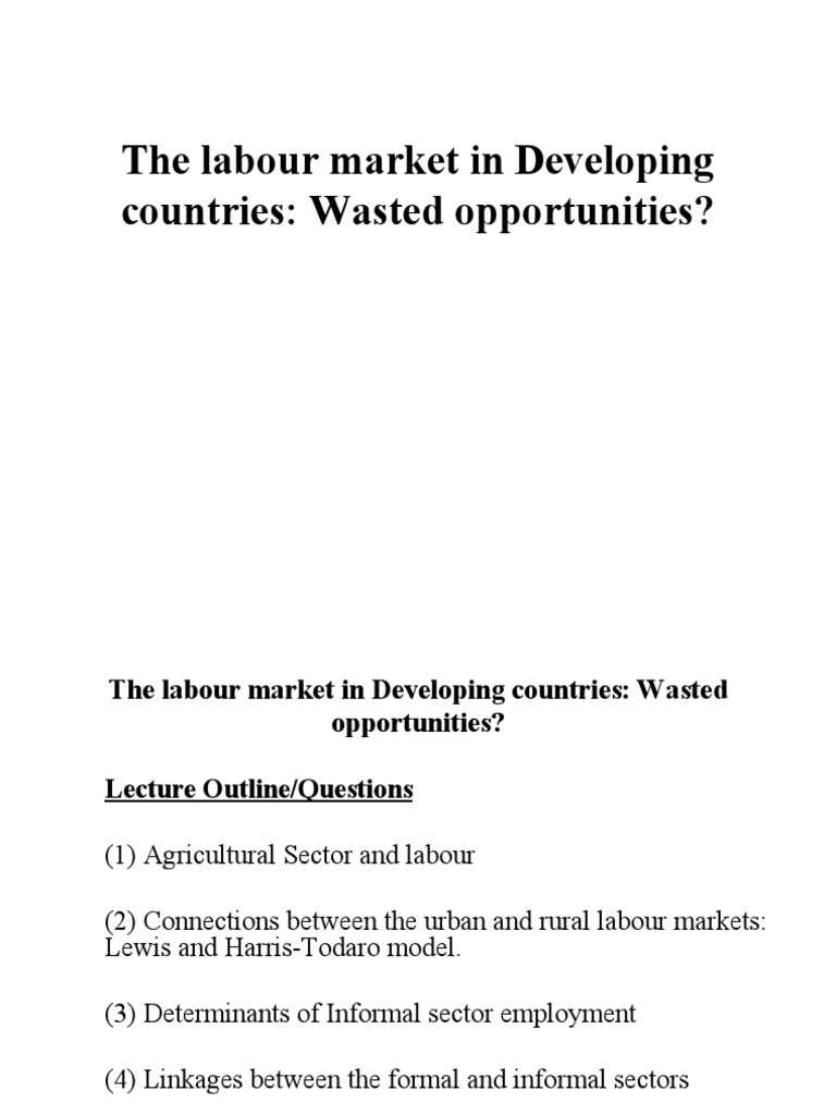 Labour in Developing Countries | Download Free PDF | Labour Economics ...
