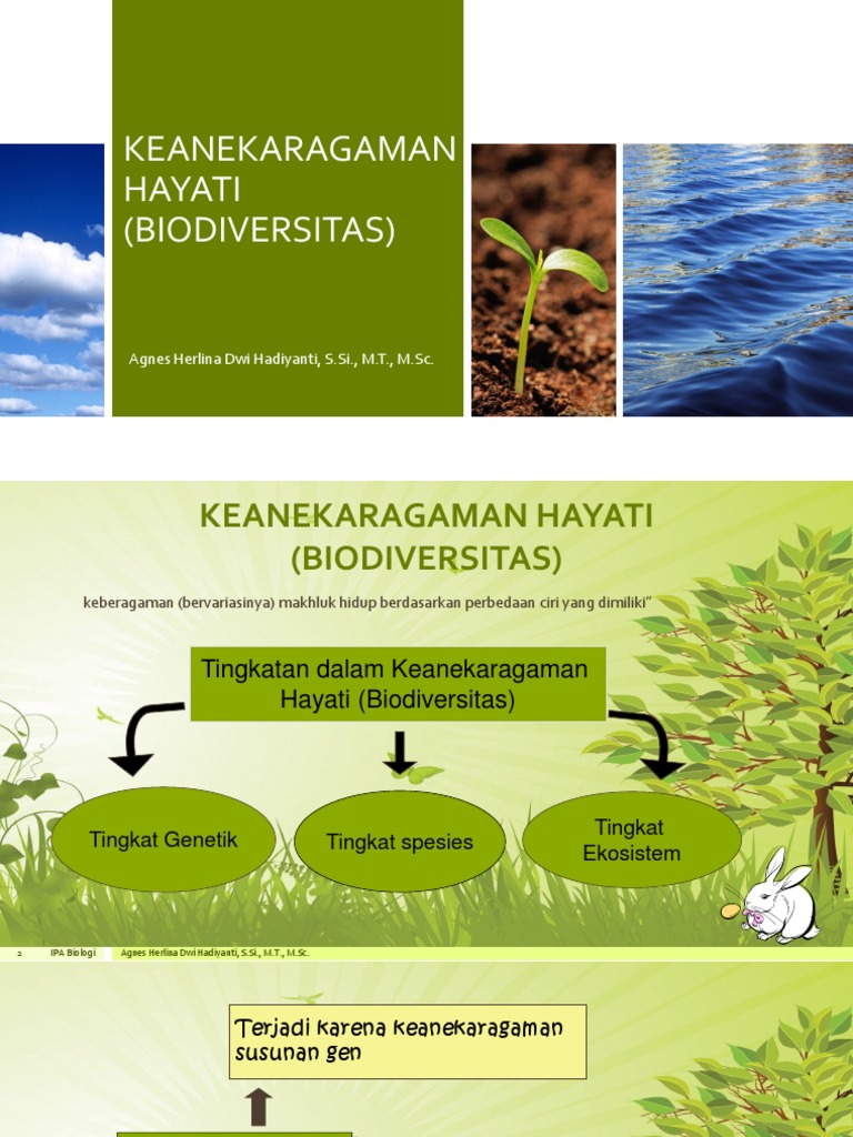 BIODIVERSITAS | PDF