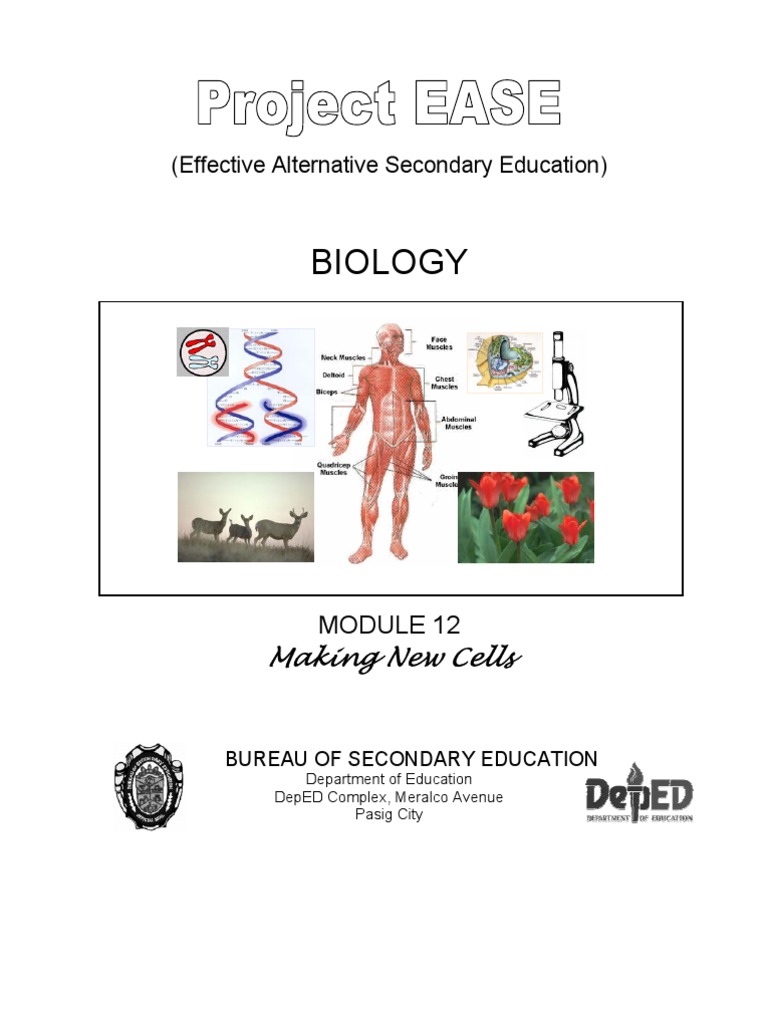 Biology M12 Making New Cells | PDF | Meiosis | Mitosis