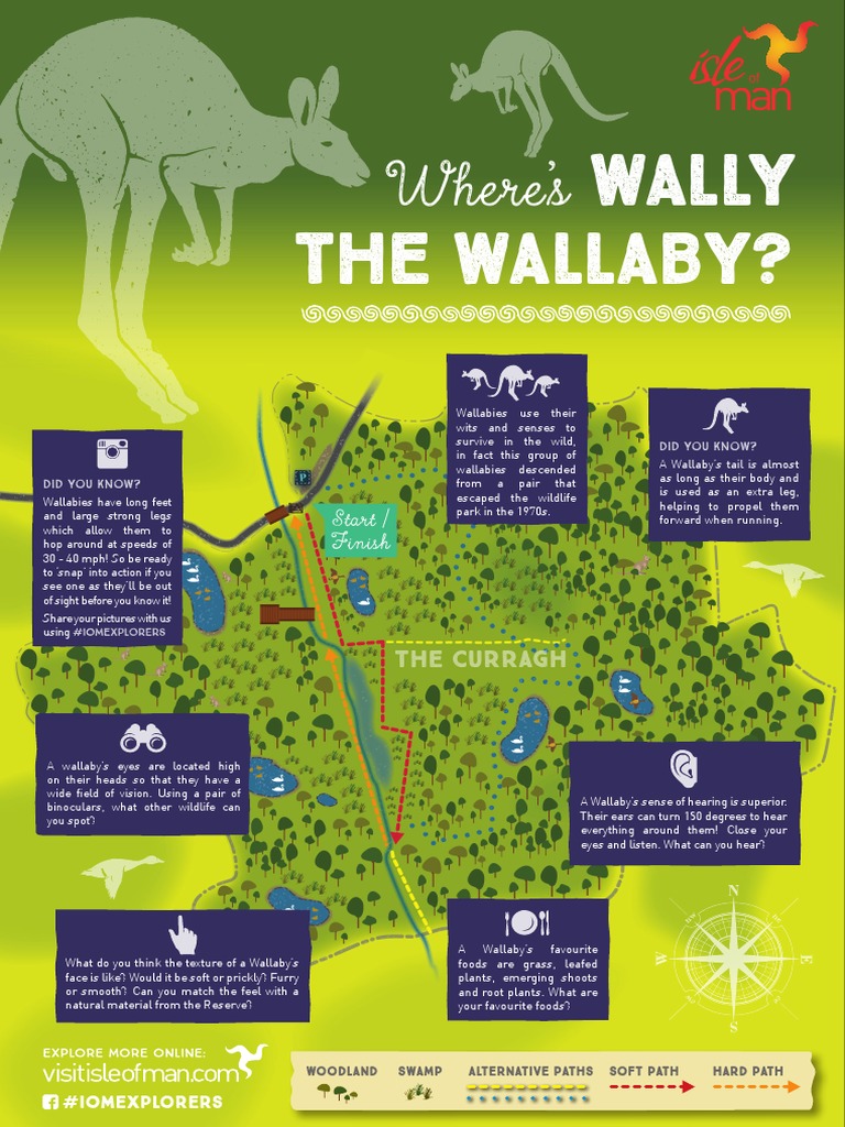 Where S Wally The Wallaby 1684849239 PDF | PDF | Nature