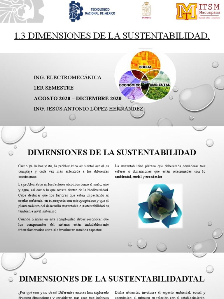 Sustentabilidad: Tres Dimensiones Clave | PDF | Sustentabilidad | Entorno natural