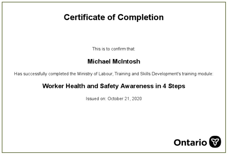 Whsa Certificate | PDF