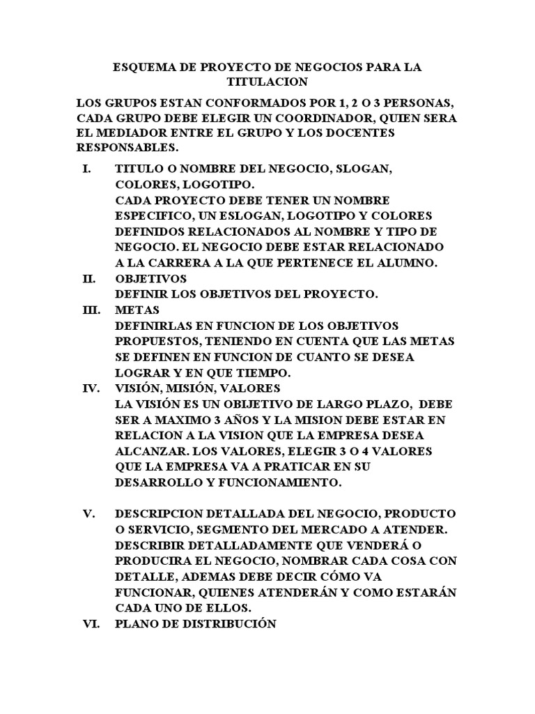 Esquema de Proyecto de Negocios | PDF | Producto (Negocio) | Mercado ...