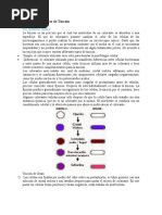 Manual de Coprologia Laboratorio Clinico | PDF | Heces | Laboratorios