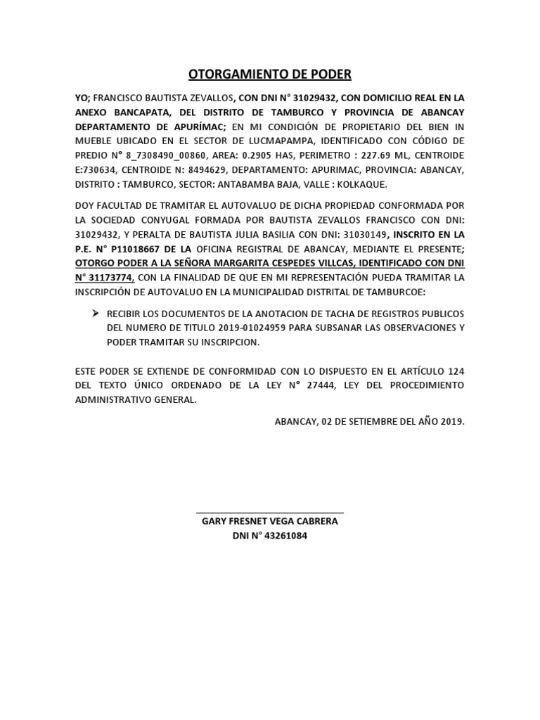 Otorgamiento de Poder | PDF