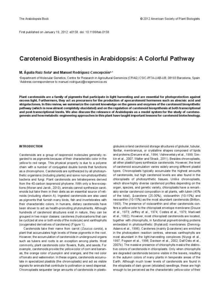 01 Carotenoid Biosynthesis in Arabidopsis | PDF | Carotenoid | Chloroplast