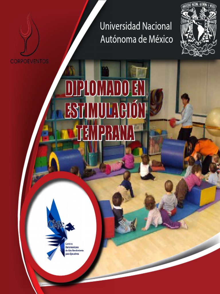 Estimulación Temprana | PDF | Neurociencia | Cognición