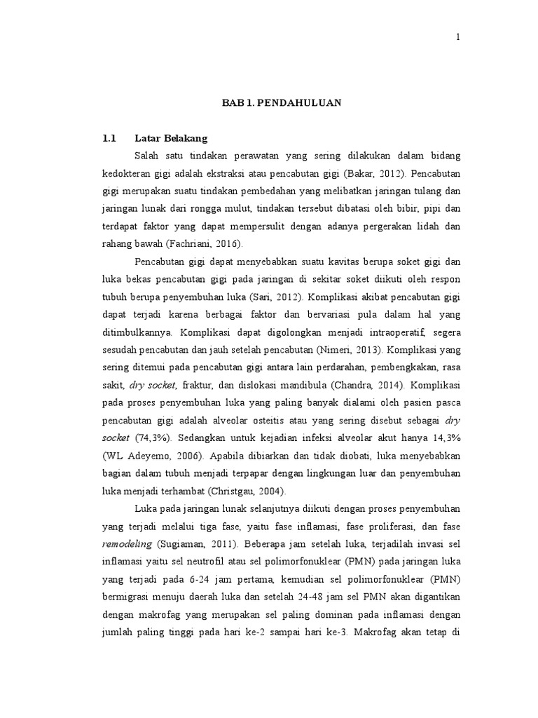 Bab 1 - Lampiran | PDF