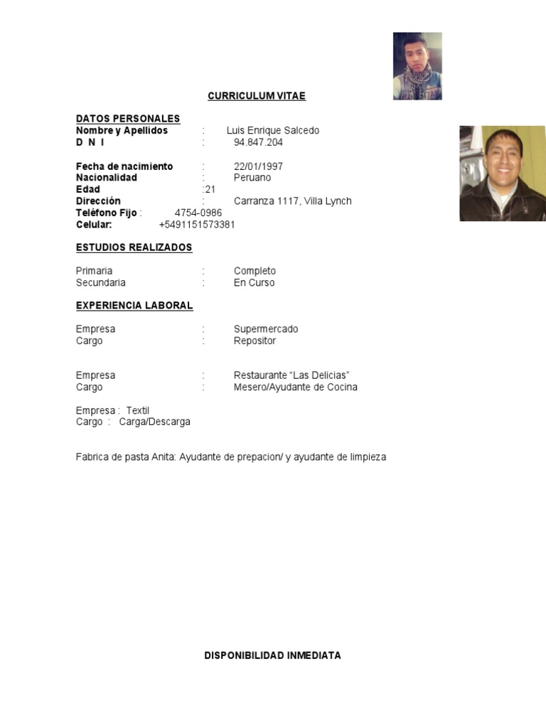 CURRICULUM VITAE Luis 1 | PDF