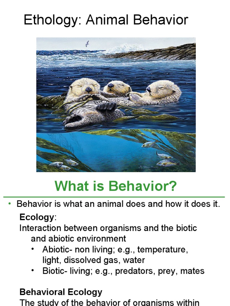 Ethology 1 | PDF | Instinct | Ethology