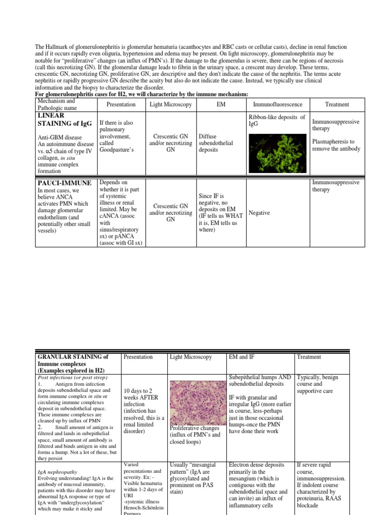 Glomerulonephritis: Types and Treatments | PDF | Kidney | Nephrology