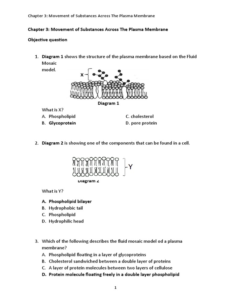 Ans Chapter 3 Movement of Substances Across The Plasma Membrane | PDF ...