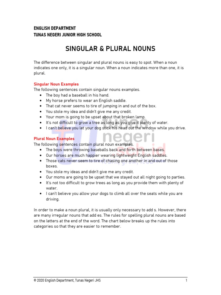 Vii-Ing Singular Plural Nouns | PDF | Grammatical Number | Plural