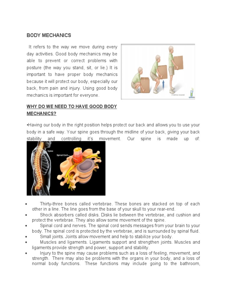 Proper Spine Protection: A Guide to Effective Body Mechanics for Daily ...
