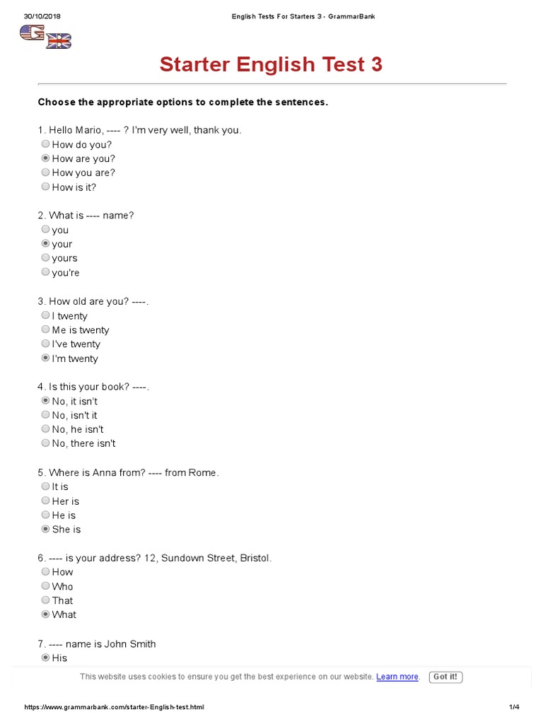 English Tests For Starters 3 - GrammarBank PDF | PDF | Cognition ...