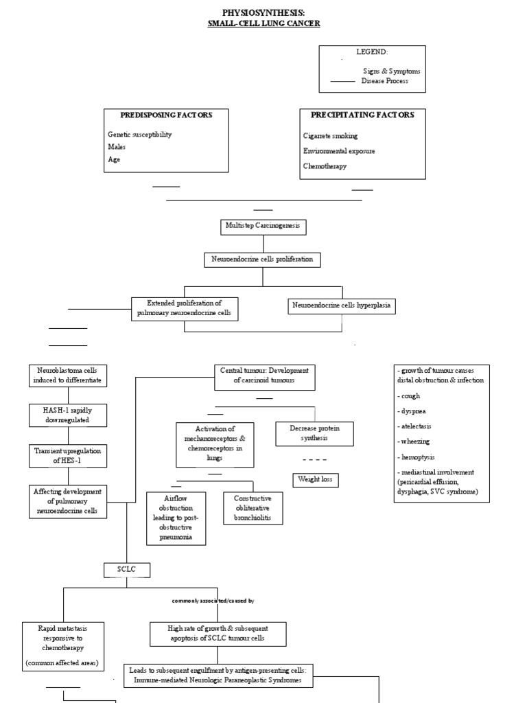 Physiosynthesis of SCLC | PDF | Medical Specialties | Clinical Medicine