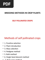 Seed Sampling (Principles and Procedures) | PDF | Sampling (Statistics ...
