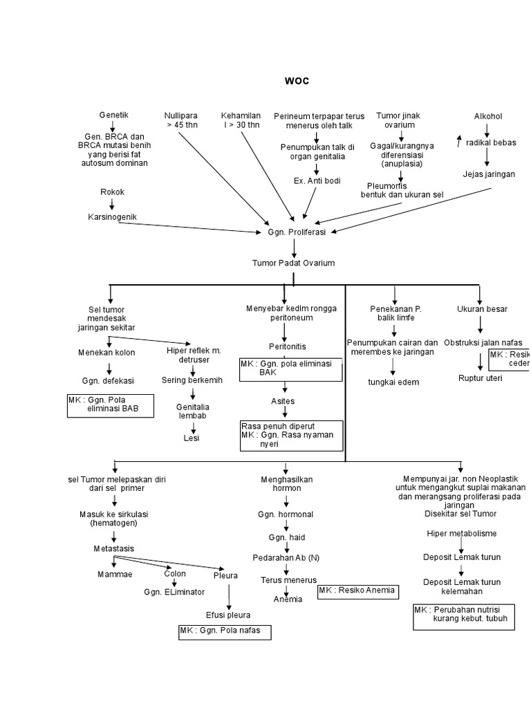 WOC Ca. Ovarium | PDF