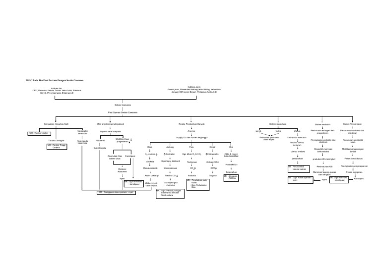 Woc Sectio Caesarea' | PDF